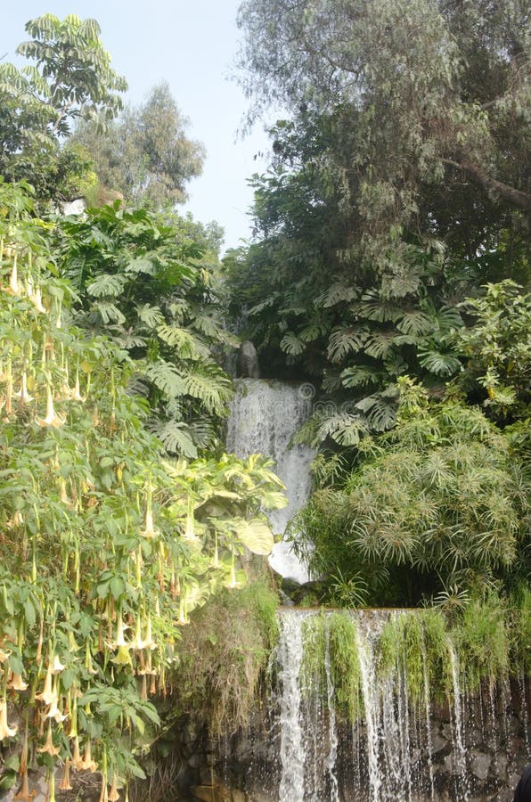 Waterfall, Lima, Peru stock image. Image of bush, waterfall - 73980679