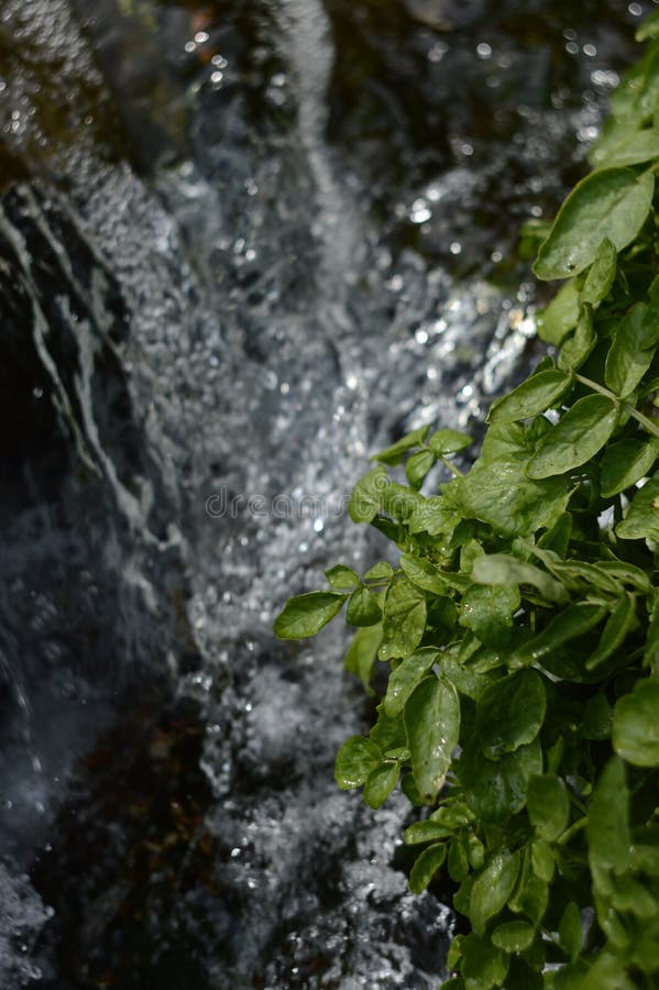 Waterfall stock image. Image of grass, beautiful, still - 49708803
