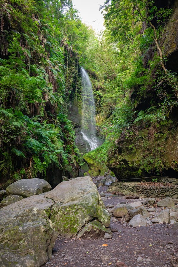 Waterfall at Los Tilos, La Palma, Canary Islands Spain Stock Photo ...