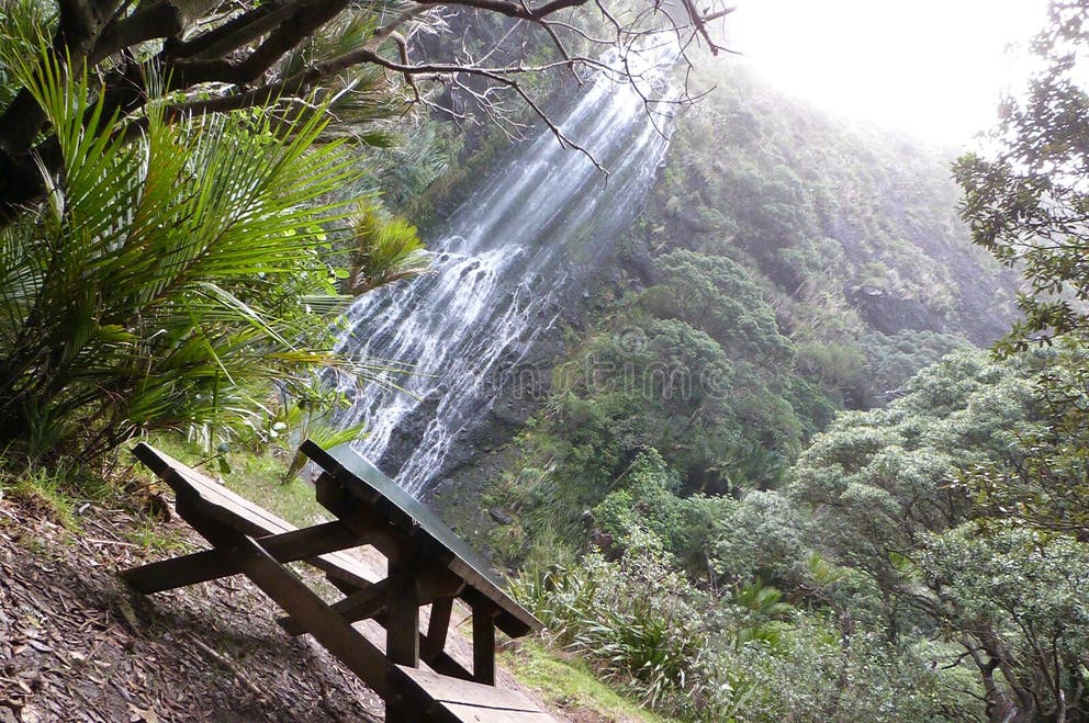 Waterfall lunch stock photo. Image of forest, water, waterfall - 42668940