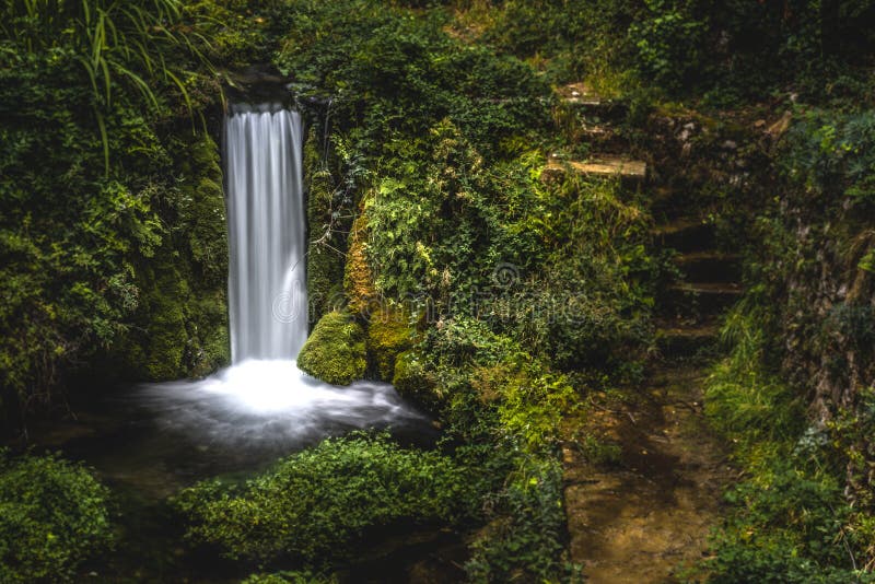 Waterfall in Lush Forest stock photo. Image of waterfall - 163147460
