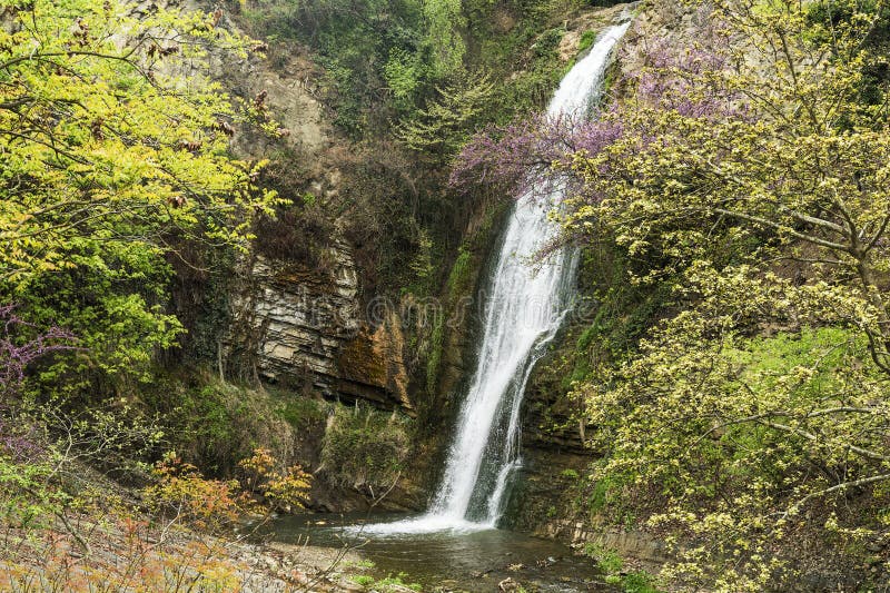 Waterfall Lush Greenery. Natural Waterfall in the Forest or Jungle ...