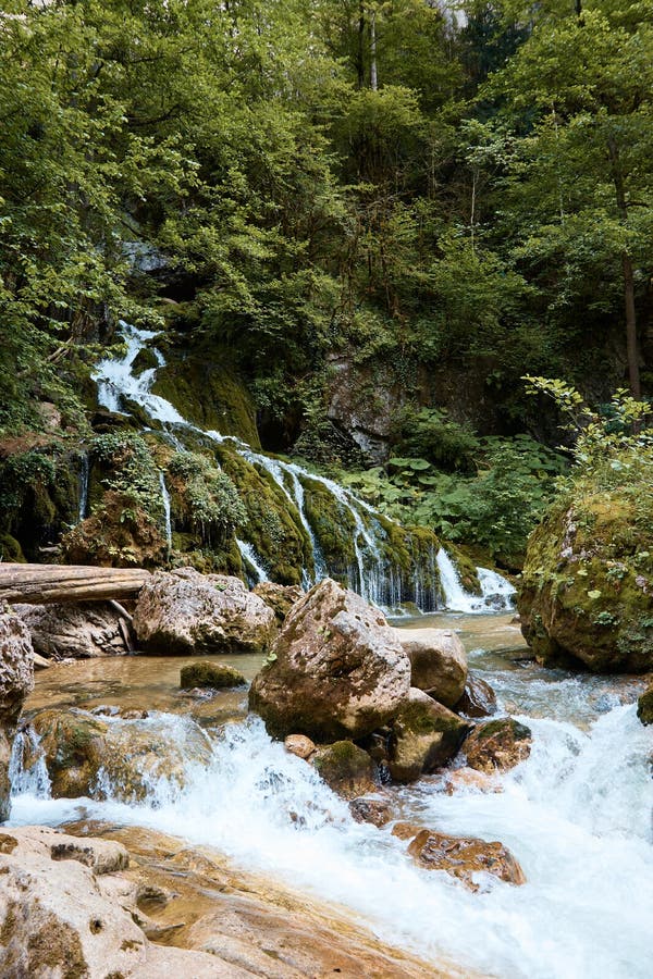 A Waterfall Makes Its Way through Stones in Forest, Green Trees and ...