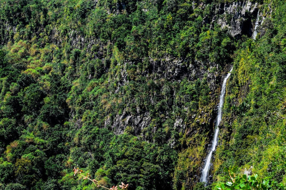 Waterfall in Mauritius stock photo. Image of sunset - 106973640