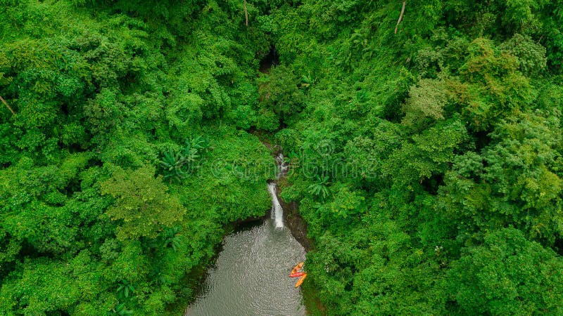 Waterfall in the Middle of the Forest. Bird Eye View , Drone Stock ...