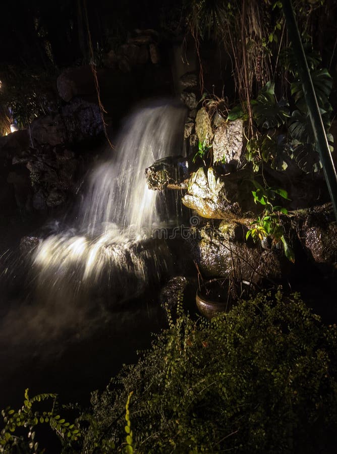 A Waterfall in the Middle of a Forest at Night, Beautiful Picture of ...