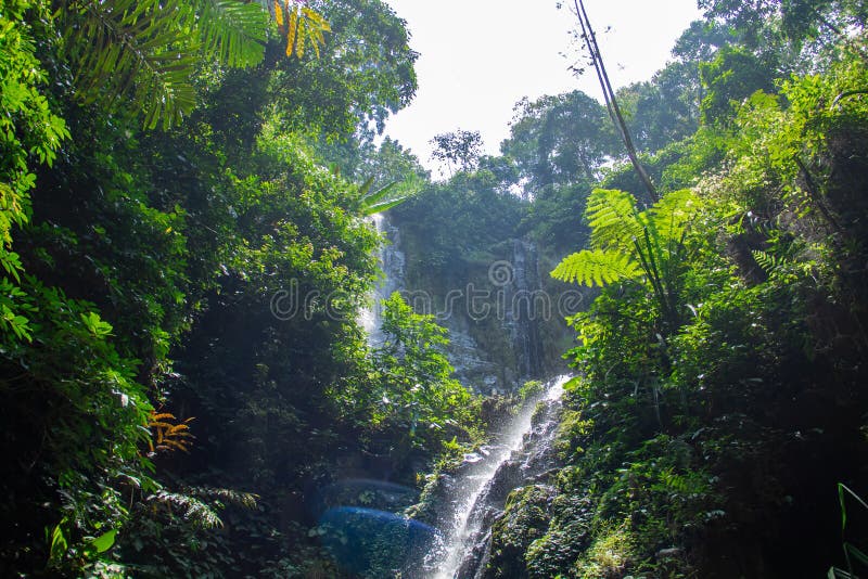 A Waterfall in the Middle of a Forest with a Stone Wall Around it Stock ...
