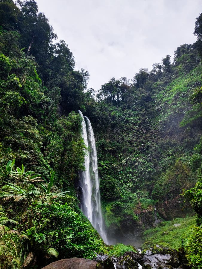 Waterfall in the Middle of the Forest with Two Streams of Waterfalls ...