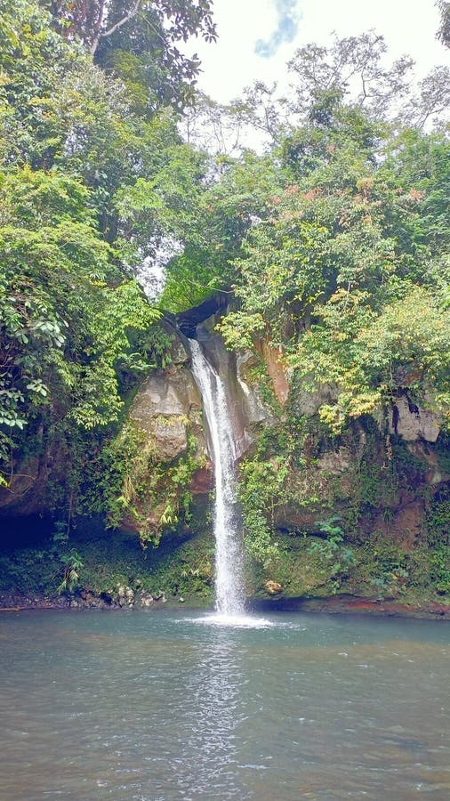 Waterfall in the Middle of the Woods Stock Photo - Image of tree ...