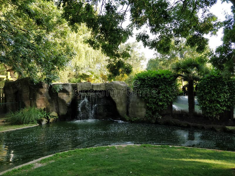 Waterfall mini niagra stock image. Image of cool, forest - 30998467