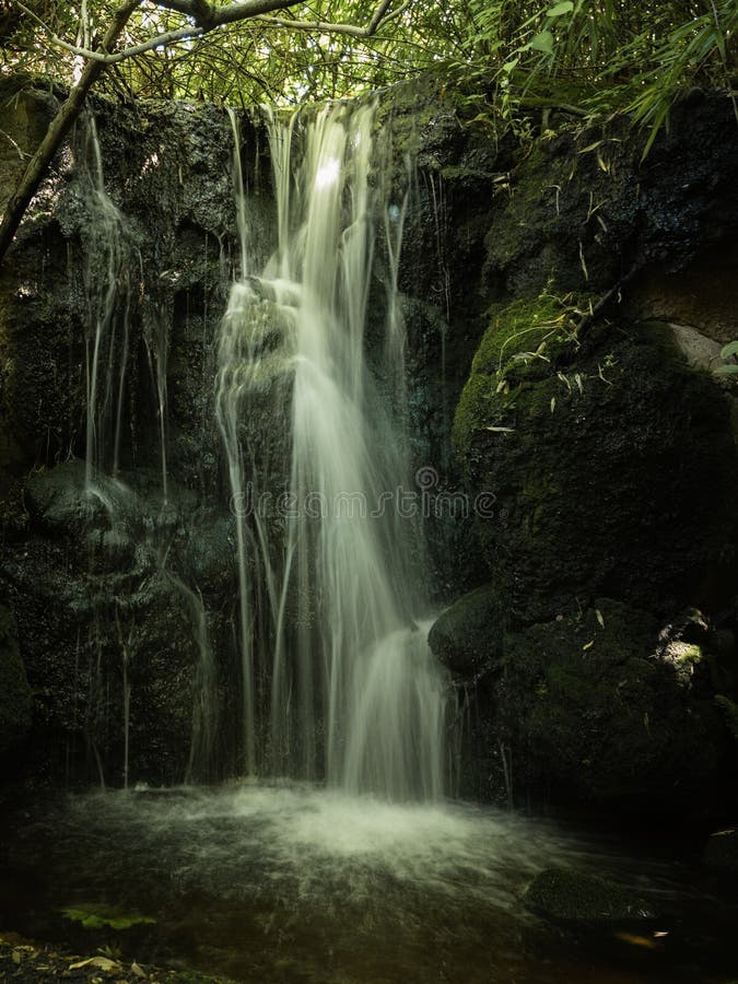 Waterfall stock image. Image of woodland, leaf, nature - 265279959