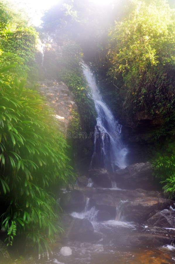 Waterfall in morning mist stock photo. Image of tranquil - 43465812