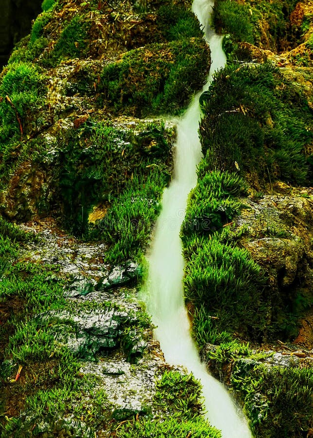 Waterfall on a moss wall stock image. Image of waterfall - 219455945