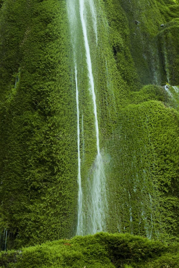 Waterfall on Mossy Background Stock Photo - Image of design, movement ...