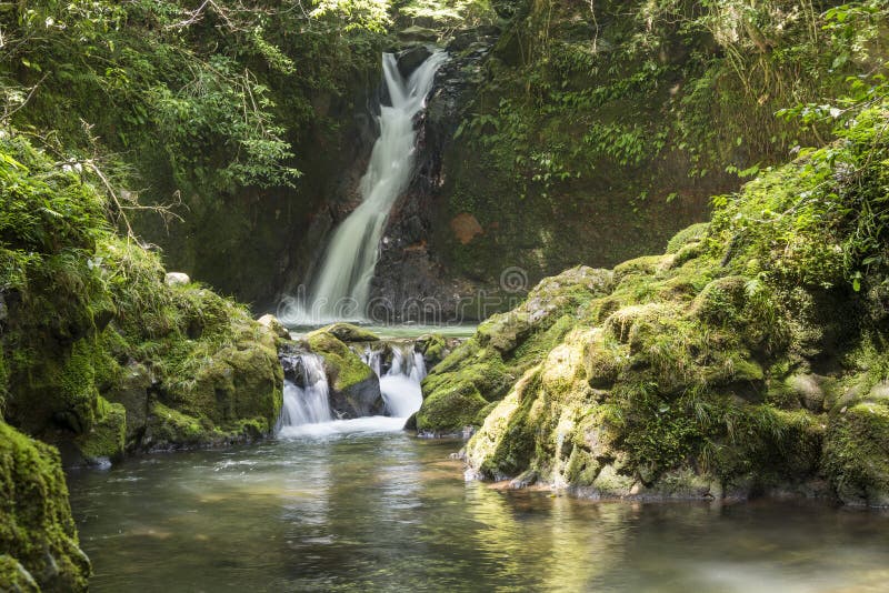 Waterfall and mossy rock stock image. Image of botanical - 125402727