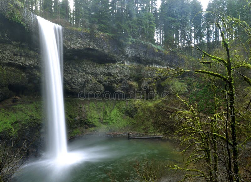 Waterfall with Mossy Rocks stock photo. Image of green - 25865888