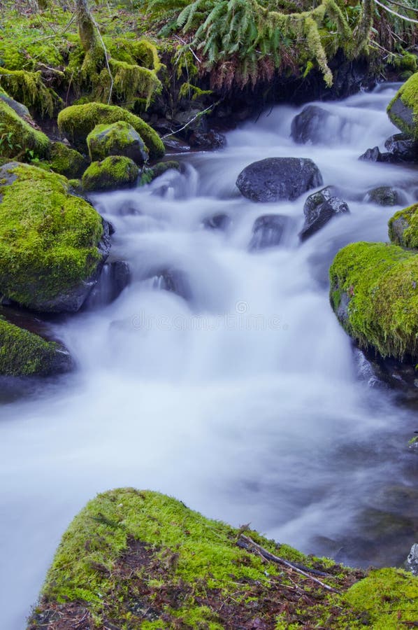 Waterfall with Mossy Rocks and Silky Water Effect Stock Photo - Image ...