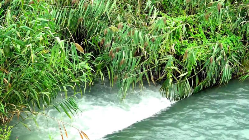 The Waterfall is the Most Beautiful and Unusual Stock Video - Video of ...