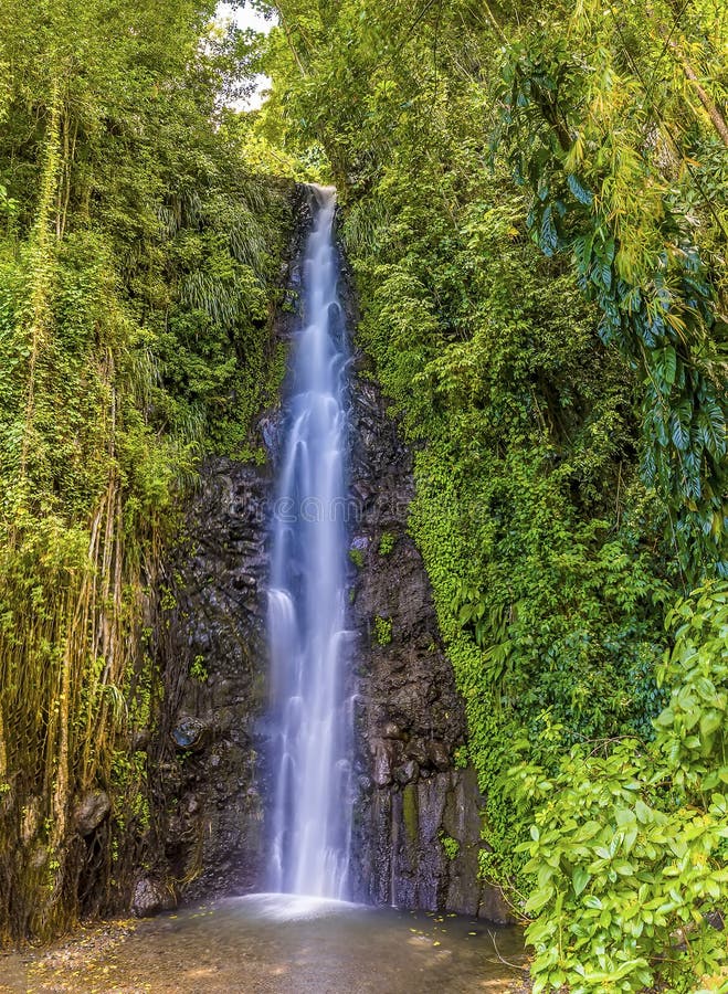 A Waterfall on Mount Soufriere in Saint Vincent Stock Photo - Image of ...
