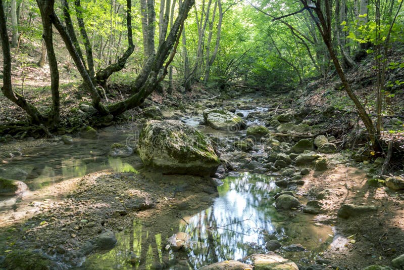 Waterfall on a Mountain River of Crimea Stock Image - Image of plant ...