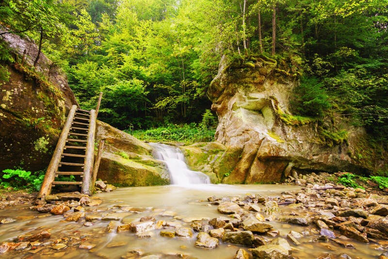 Waterfall in Mountains with Forest. Stock Image - Image of september ...