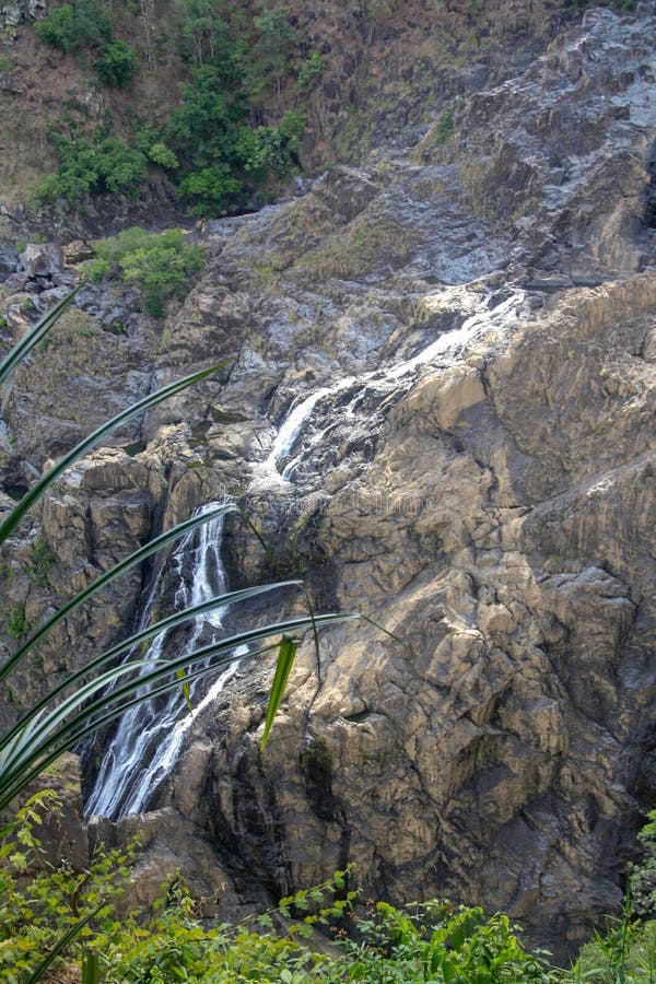 Waterfall in Mountains Full of Free Grass Stock Photo - Image of plants ...