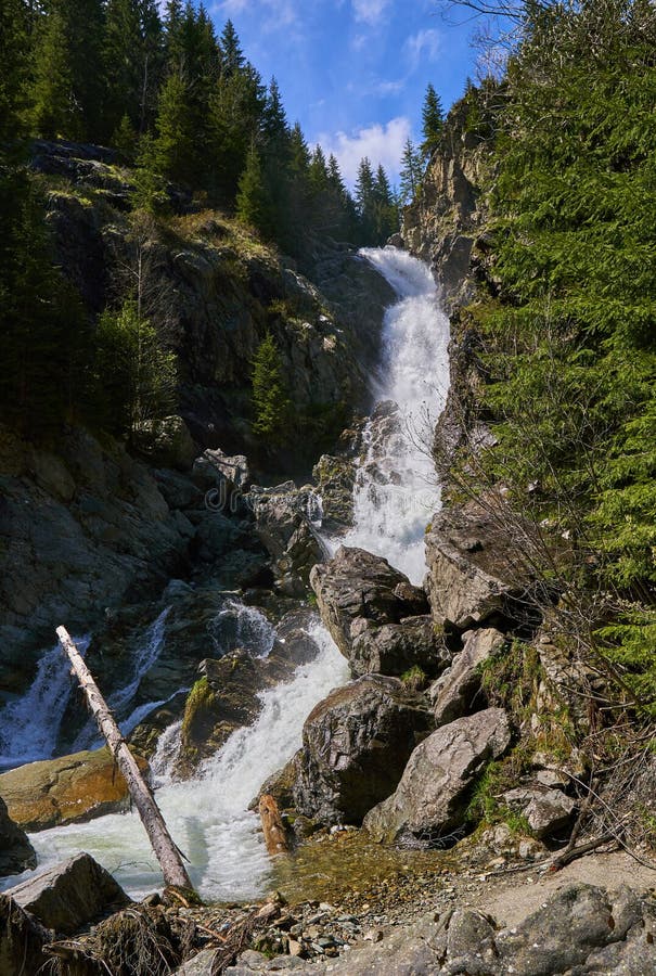 Waterfall in the mountains stock photo. Image of pines - 149198156