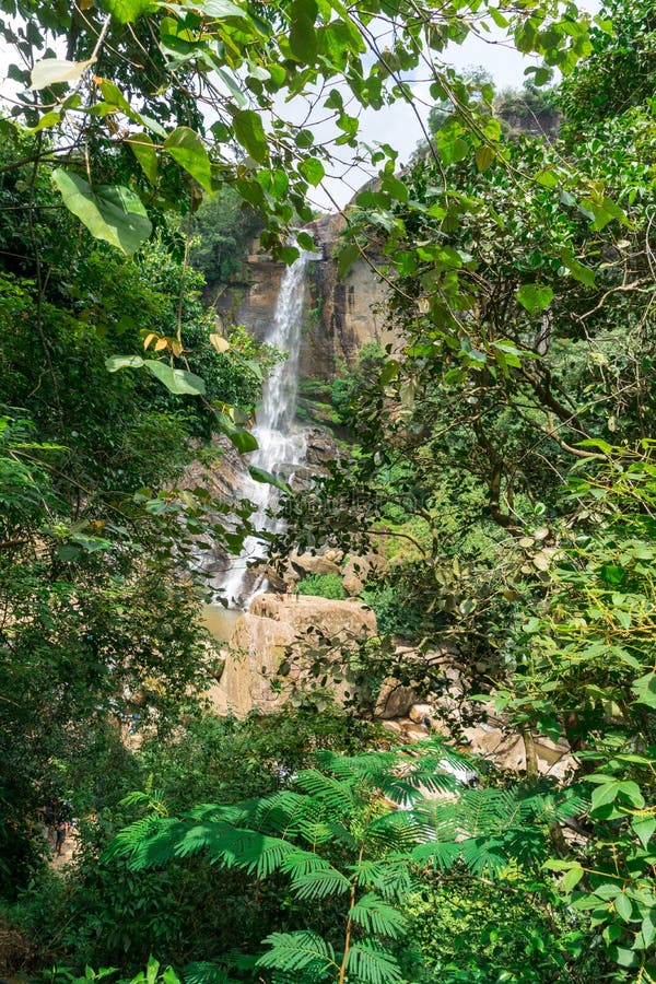 Waterfall in the Mountains, Sri Lanka Stock Photo - Image of forest ...