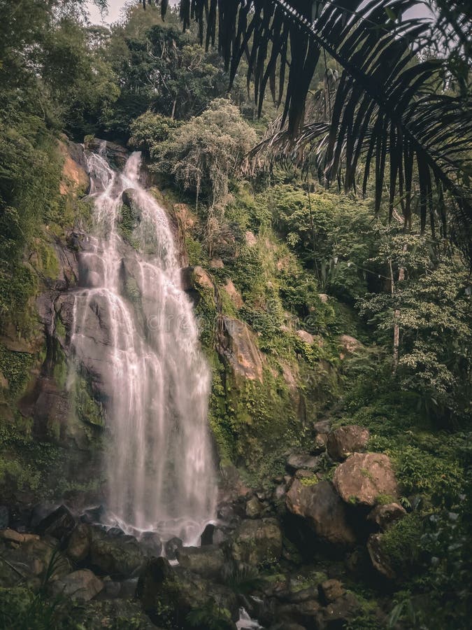 Waterfall in my country stock photo. Image of water - 239781780