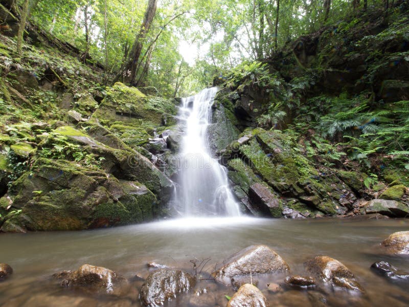 Waterfall in Nara, Japan stock photo. Image of japan - 81806152