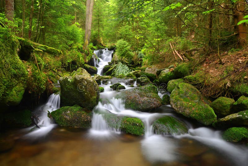 Waterfall in the National Park Sumava Stock Image - Image of cataract ...