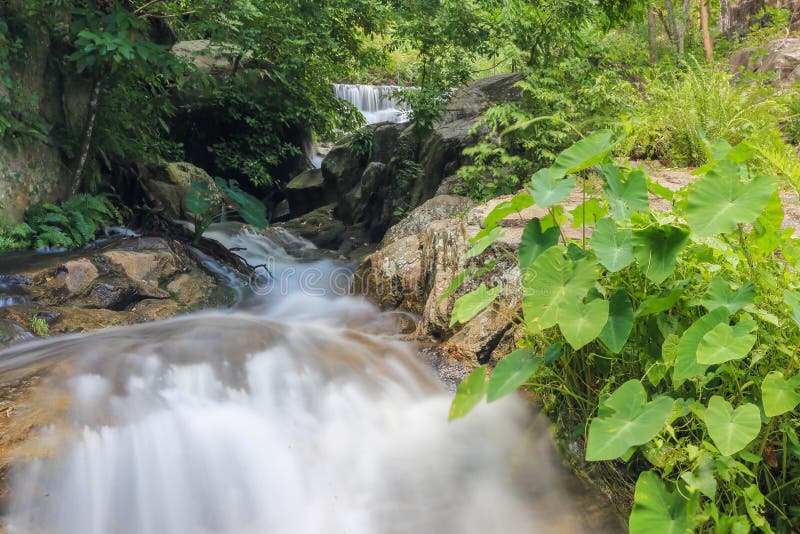 Waterfall stock photo. Image of wildlife, tree, plenty - 78383270