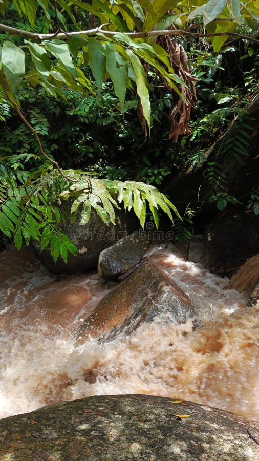 A Waterfall is a Natural Feature Where Water Flows Over a Vertical Drop ...