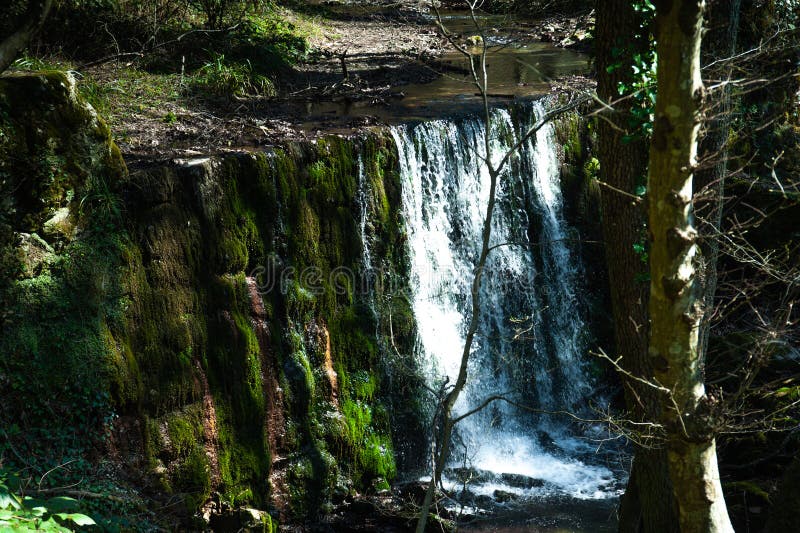A Waterfall in a Nature Park Photographed in Early Spring with Clear ...