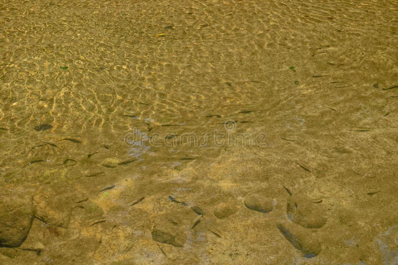 Waterfall in nature stock photo. Image of beautiful - 101470632