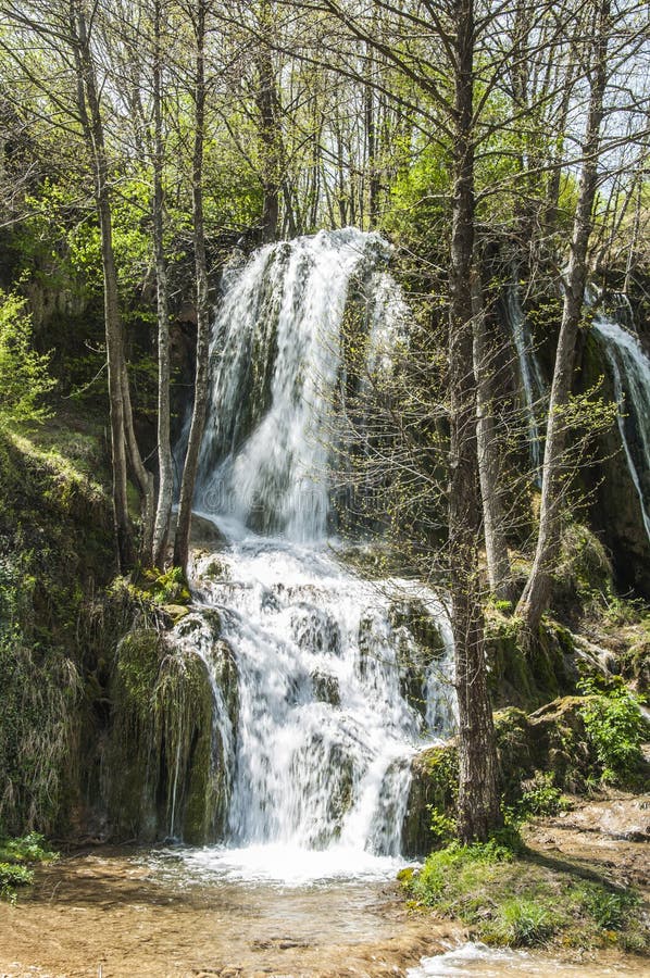 Waterfall stock photo. Image of wasserfall, stream, tree - 91982690