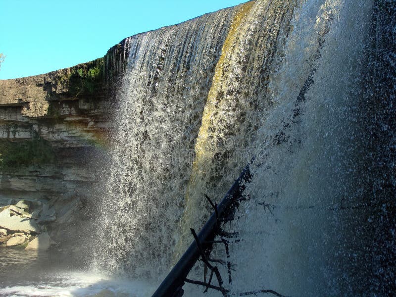 Waterfall and Old Tree in the Foreground Stock Image - Image of ...