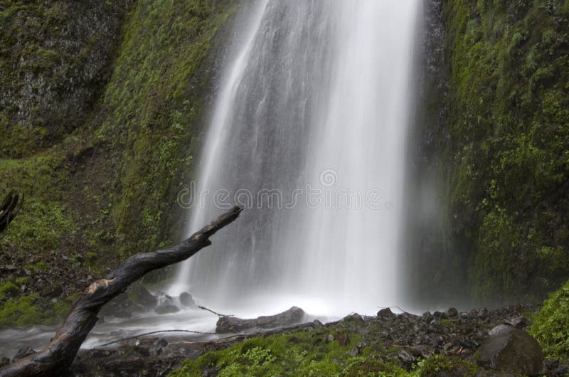 Waterfall and Old Trees in Oregon Stock Image - Image of waterfalls ...