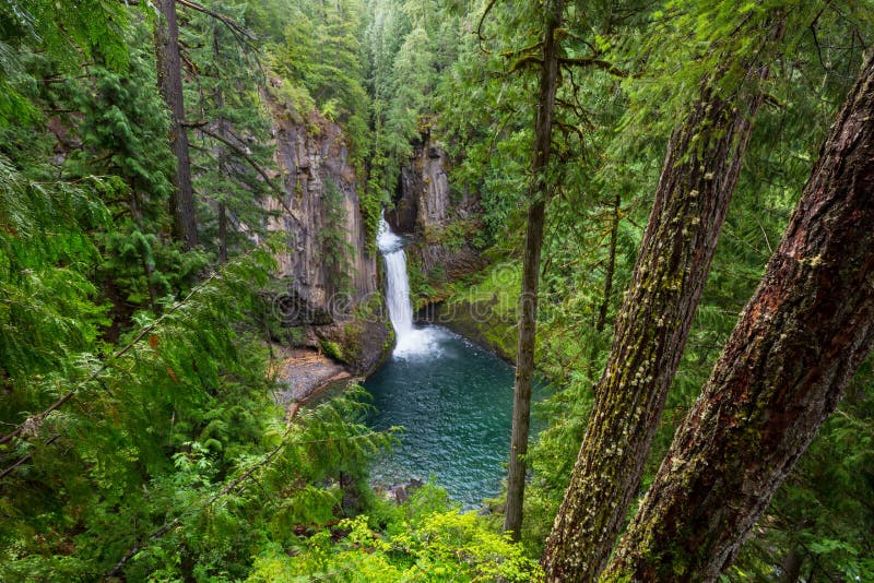 Waterfall in Oregon stock photo. Image of scenery, nature - 161977250