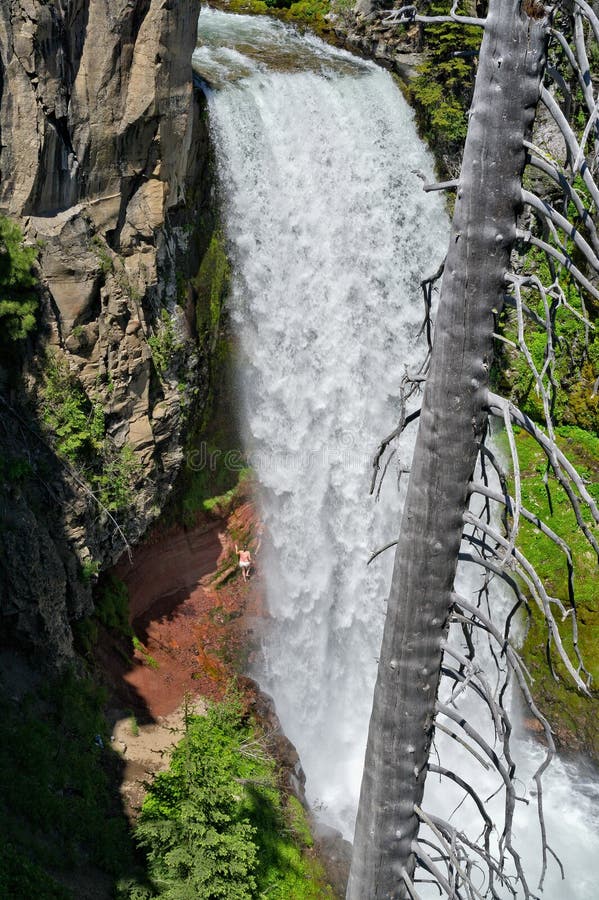 Waterfall in the Oregon Cascade Range Stock Photo - Image of girl ...