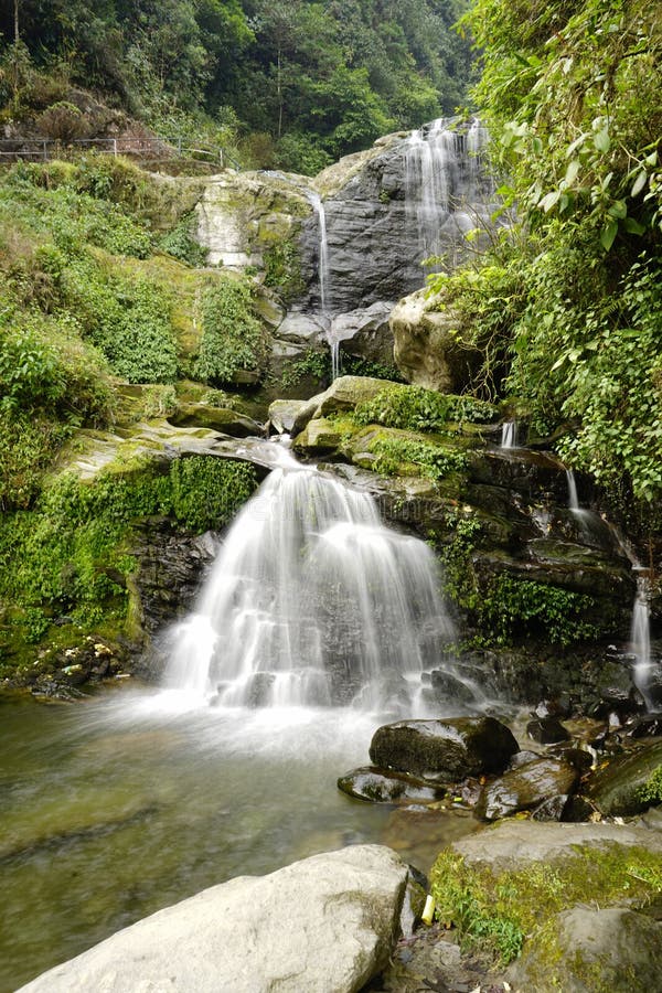 Waterfall in Darjeeling stock photo. Image of creek - 245350068