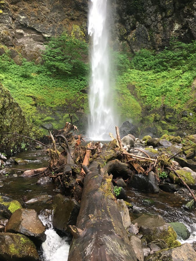 Waterfall over fallen tree stock image. Image of fallen - 74983987