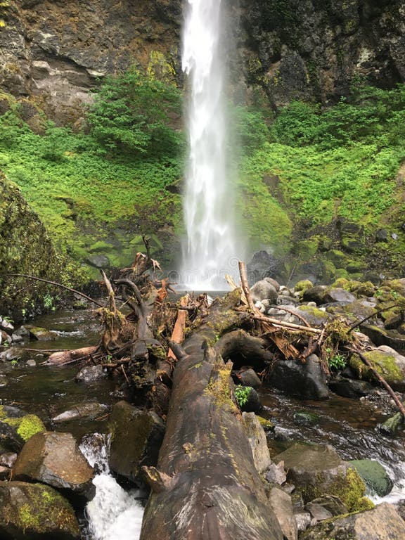 Waterfall over fallen tree stock image. Image of fallen - 74983987
