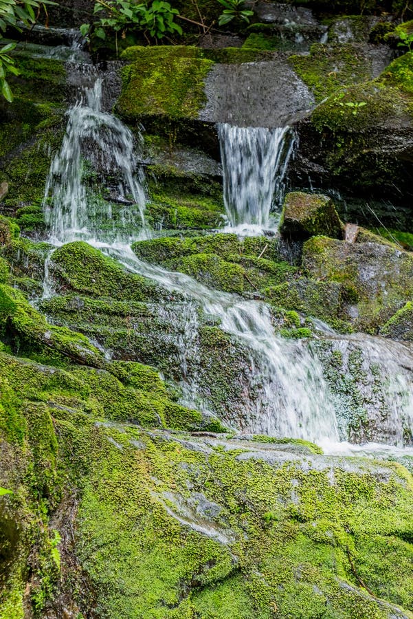 Waterfall Over Large Mossy Rocks in Spring Creek Stock Image - Image of ...