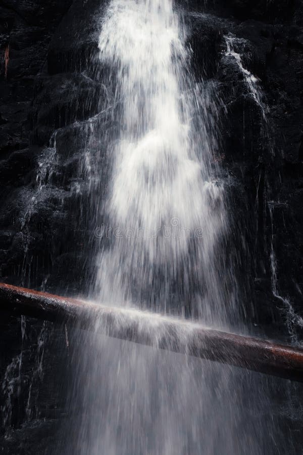 Waterfall Over a Log in the Black Forest Stock Image - Image of ...
