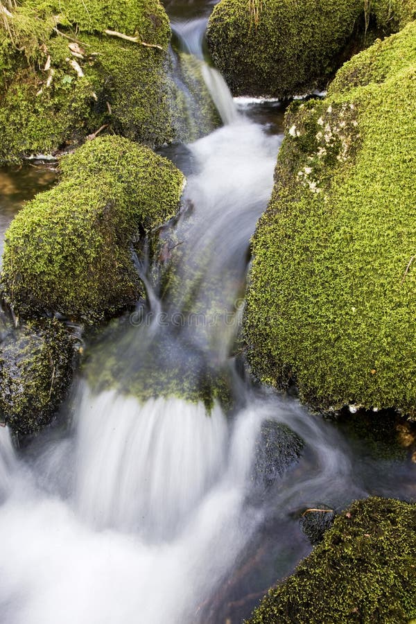 Waterfall Over Moss Covered Rocks Stock Photo - Image of wild, clarity ...