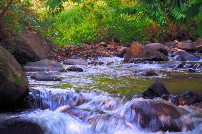 Waterfall in park. stock photo. Image of park, tree - 140992428