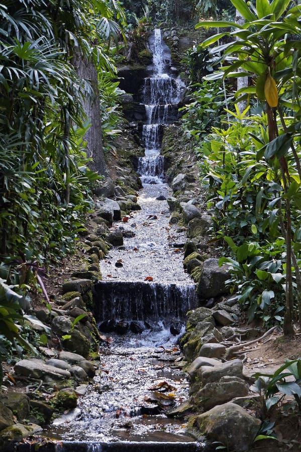 Waterfall in the Park, Rio De Janeiro Stock Photo - Image of forest ...