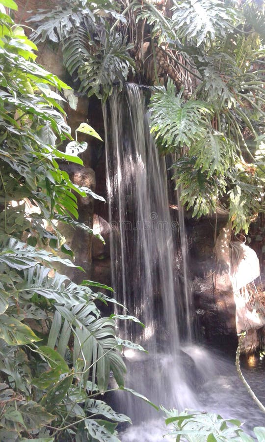 Waterfall stock image. Image of small, jungle, pictute - 55243375
