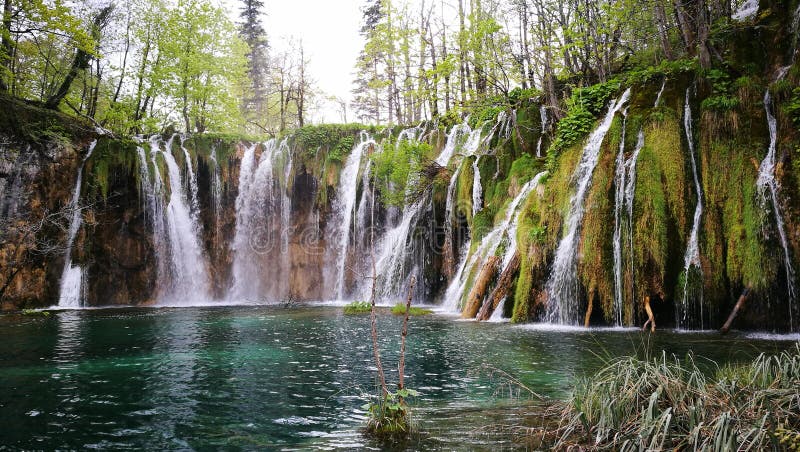Waterfall stock photo. Image of nature, swamp, stream - 96029178